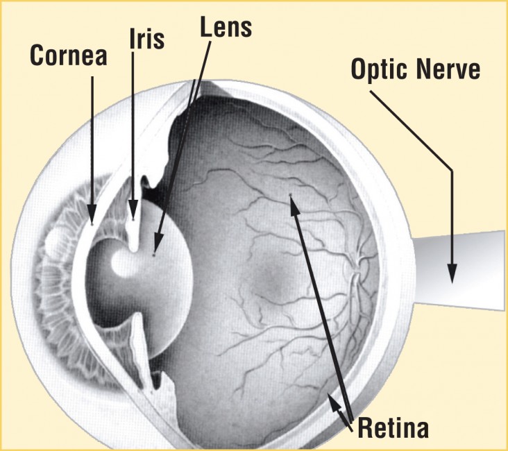 The ‘Wong Way’ Leads to Innovators Award for Dr. Michael Wong | The ...